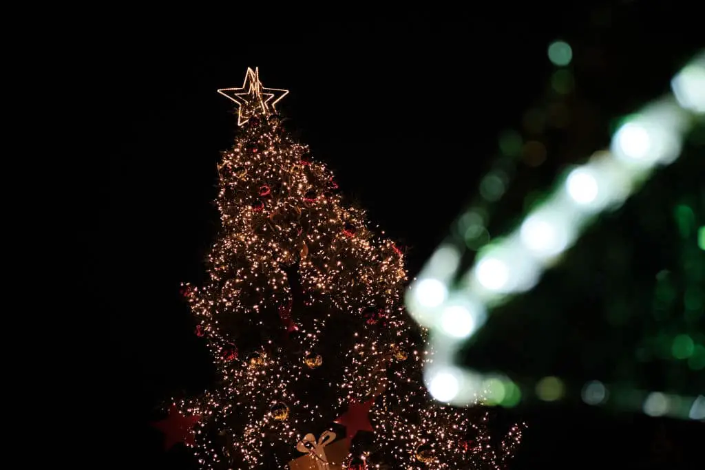 Pricing Out the 12 Days of Christmas, With Inflation