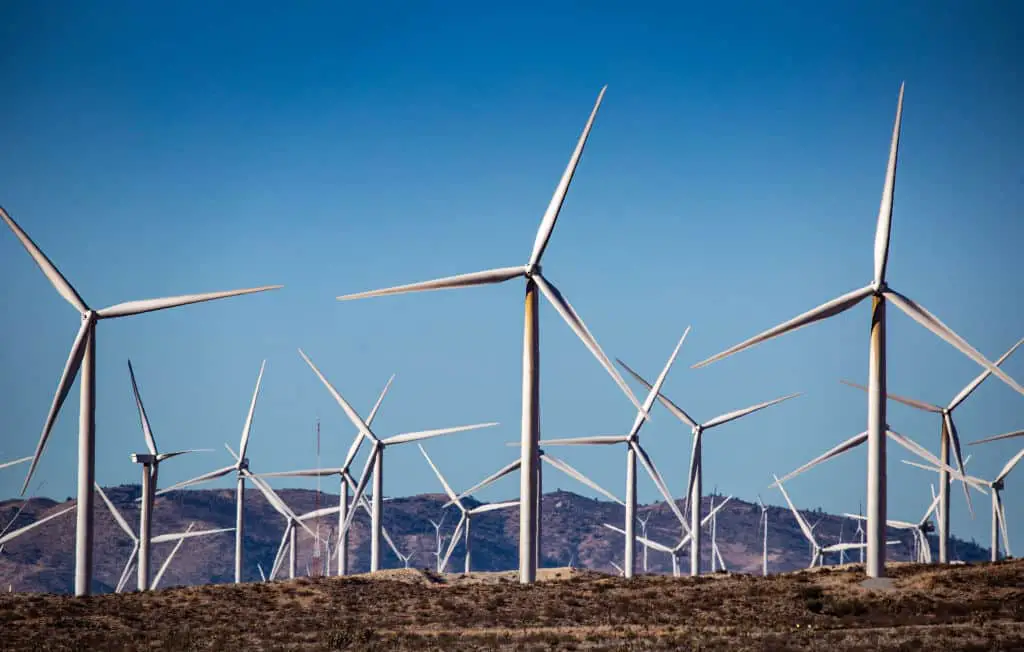 Renewed Interest In Renewables