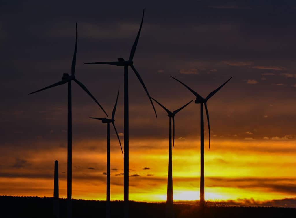 Conservatives For Clean Energy conservatives-for-clean-energy